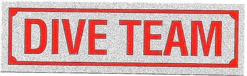DIVE TEAM High Reflective Vinyl Decal - 1 1/4" x 4 1/4" Dive Rescue ...