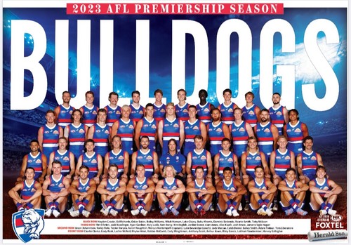 WESTERN BULLDOGS TEAM POSTER,AFL FOOTBALL BIG 420mmx300mm , cheapest 2 ...