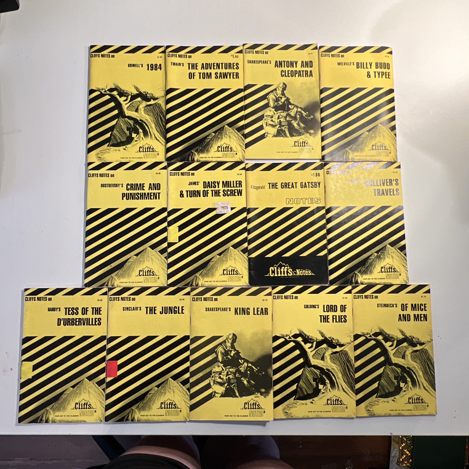 Teacher's Mixed Lot Set of 13 Cliff Notes Shakespeare Orwell Twain ...