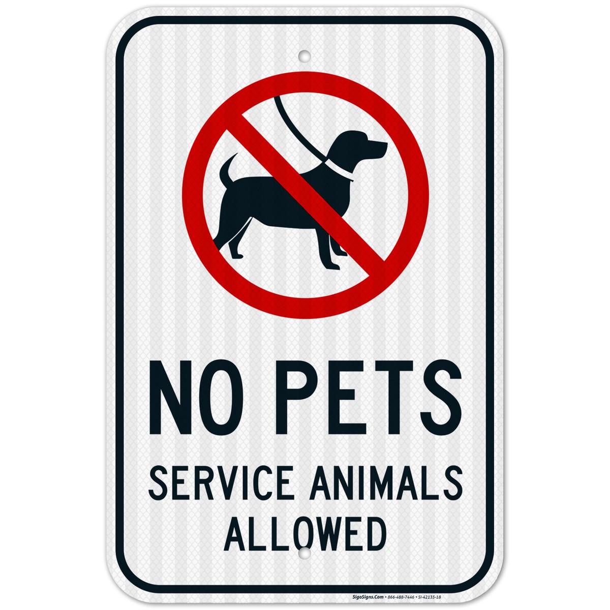No Pets Allowed