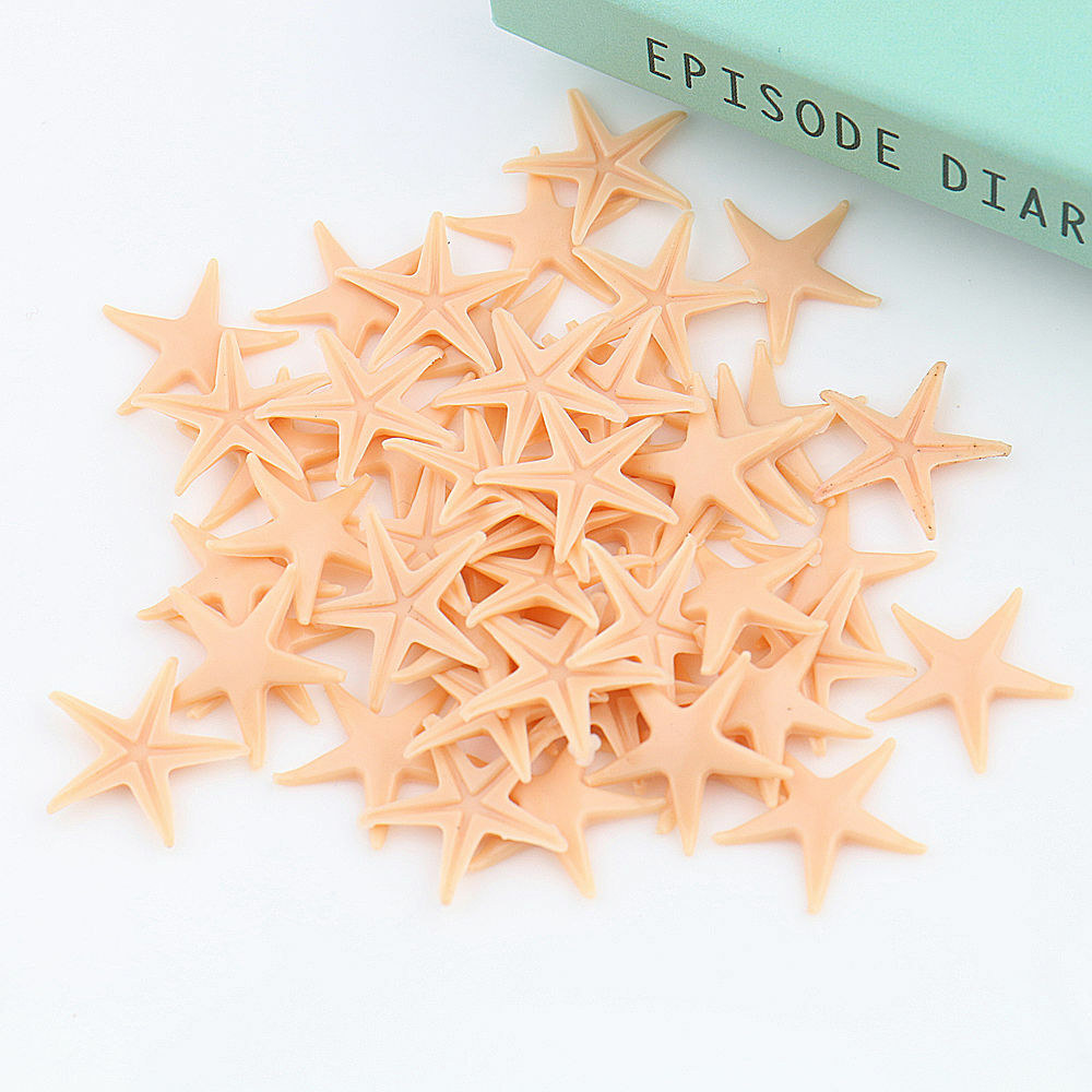 Fake Starfish Fossils Collecting Fossils On The Jurassic Coast: The