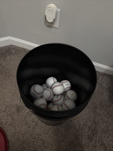 Diamond 6-Gallon Bucket with 27 D-OBDiamond BLEM Leather Practice ...