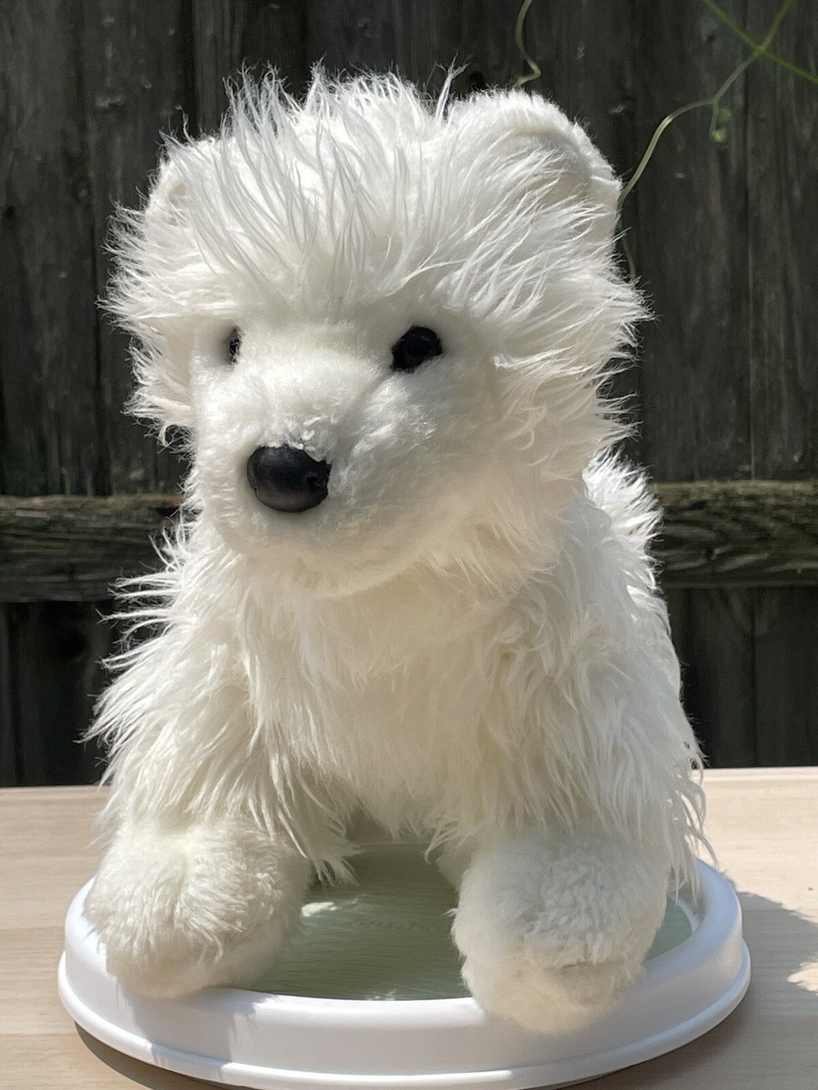 Sammy Dog