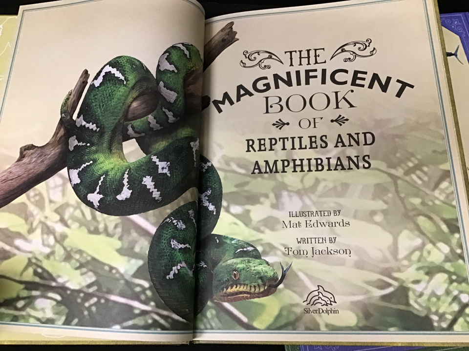The Magnificent Book of Animals, Dinosaurs, Reptiles, Ocean Creatures ...