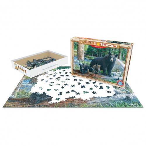 Puzzle - New Discoveries By Kevin Daniel - 1000 Pieces | eBay