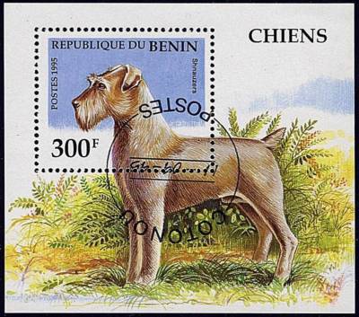 BENIN 1995 DOGS S/S ANIMALS PETS | eBay