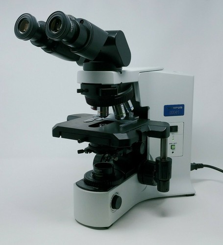 Olympus Microscope BX41 with Tilting Head, Polarizer, Analyzer, U-POT U ...