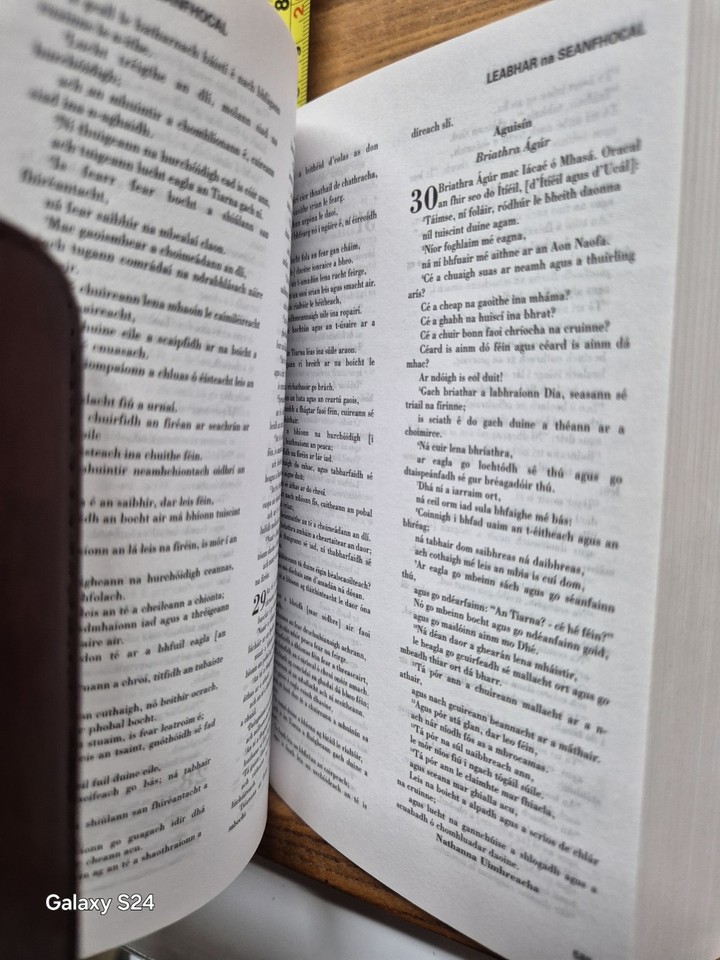 An Bíobla Naofa The New Bible translated from English to Irish 2000 ...