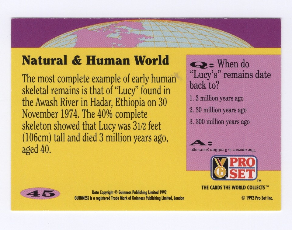 Skeletal remains of 'Lucy’ Awash River Hadar Ethiopia | eBay