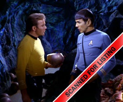 STAR TREK TOS KIRK & SPOCK Leonard Nimoy & William Shatner 8X10 PHOTO ...