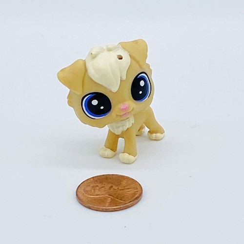 Littlest Pet Shop Lps #21 Hasbro Chien Wheaton Wheaten Terrier Mini | eBay