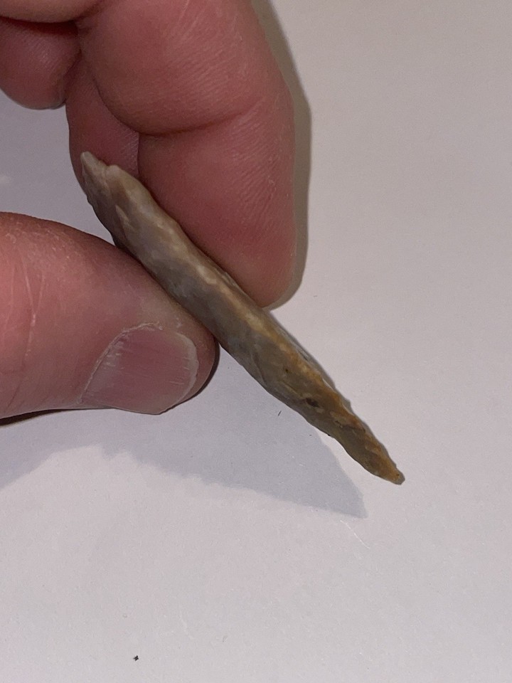 1 15/16 Inch Decatur Kentucky Boyle Chert Davis Coa | eBay