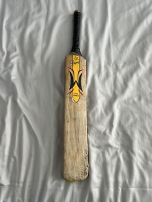 Woodworm The Torch Pioneer Cricket Bat 2lb 80cm Size 6 | eBay UK