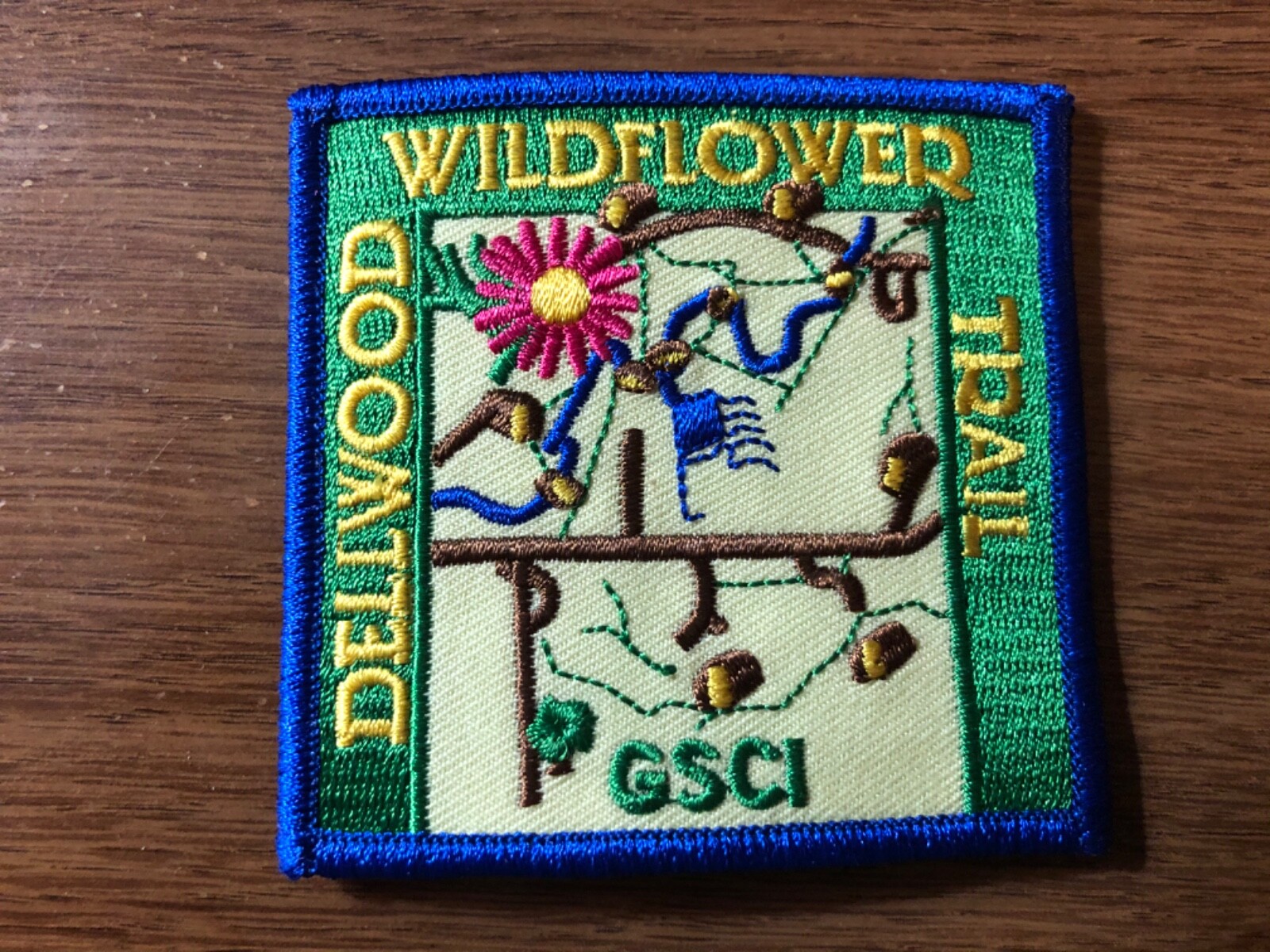 GIRL SCOUTS INDIANA Dellwood Wildflower Trail Patch, 3”x3”, GSCI | eBay