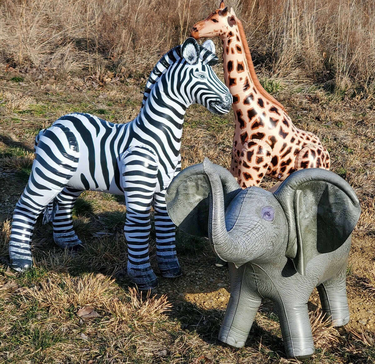 Jet Creations Safari 3 Pack Giraffe Zebra Elephant Great for Pool and ...