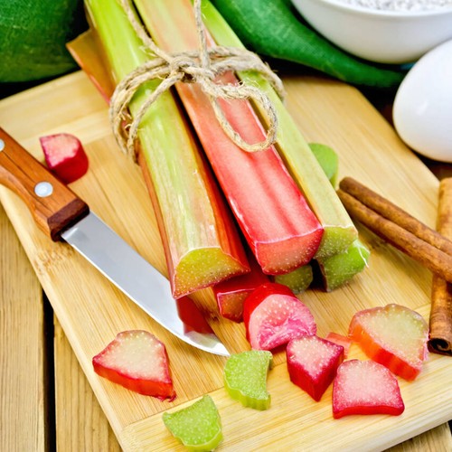 Rhubarb Timperley Early | Grow Your Own Ready to Plant Bare Root ...