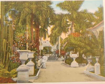Havana Cuba Jardines En El Parque Colon Colombus Park 1920s Original ...