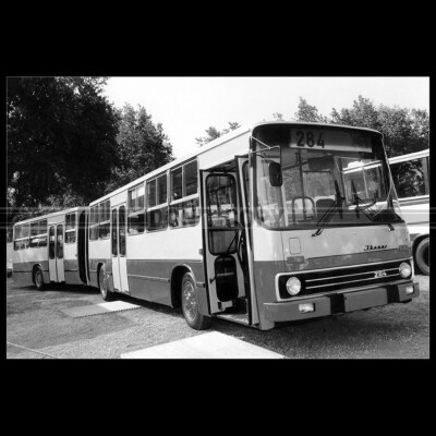 Photo A.025623 IKARUS 284 1986-1991 BUS AUTOBUS | eBay