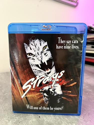 Strays (Blu-ray, 1991) - Scream Factory - Like New 826663199864 | eBay