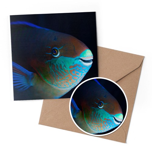 1 x Greeting Card & 10cm Sticker Set - Parrotfish Tropical Fish Face ...