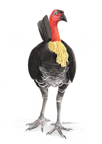 Watercolour Australian Bush Turkey Print - brush turkey painting | eBay
