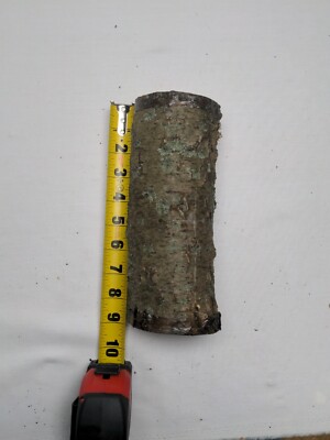 8.5" Wild Cherry Log Wood Carving Turning Blank Live Edge Crotch 3.25 ...