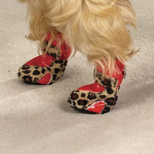 Zack & Zoey Safari Dog Boots water-resistant with non-skid soles in 5 ...