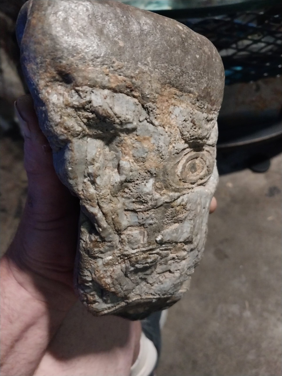 Fossilized Alien Head | eBay
