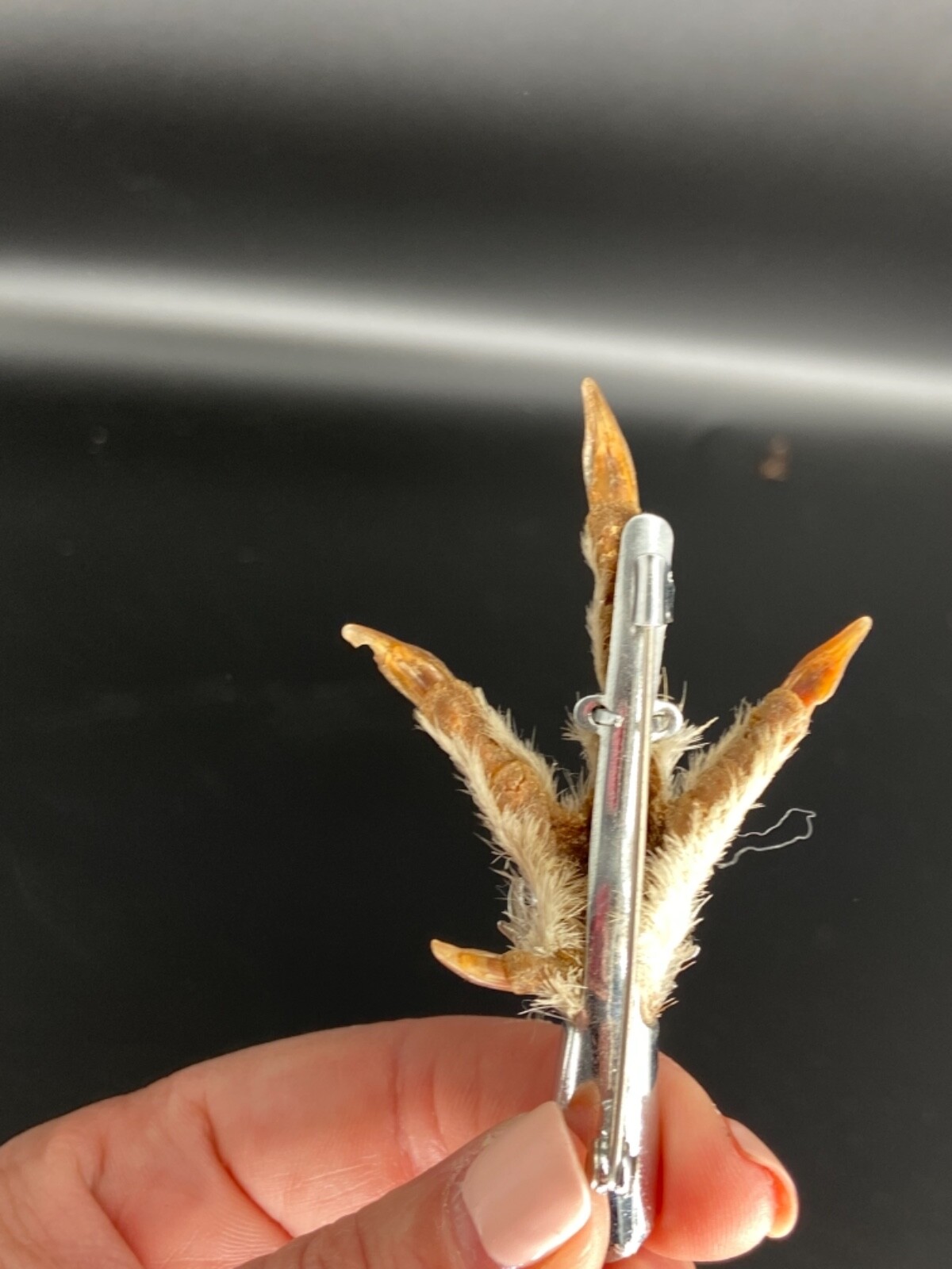 Antique Victorian Grouse Foot Claw Scottish Kilt Pin Brooch with ...