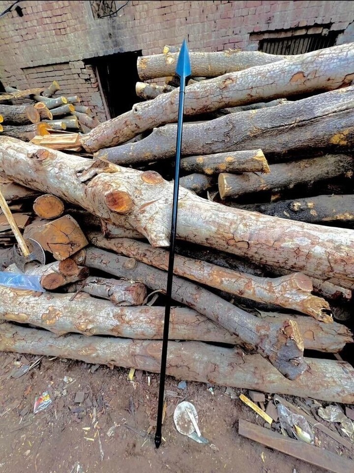 60 Inches long SHARP Medieval 300 Spartan SPEAR Hand Forged Spear ...