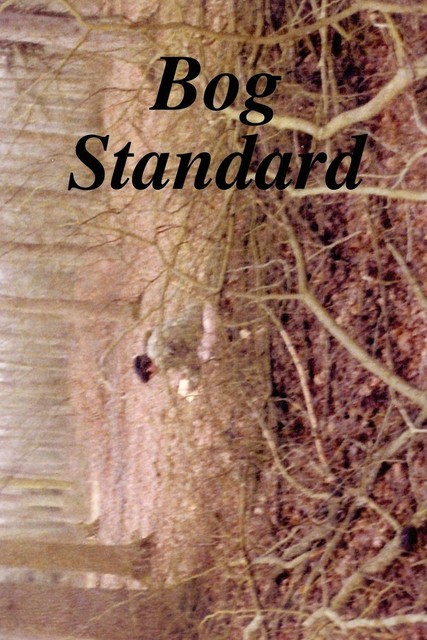 Bog Standard von Terry Hague (2008, Taschenbuch) online kaufen | eBay.de