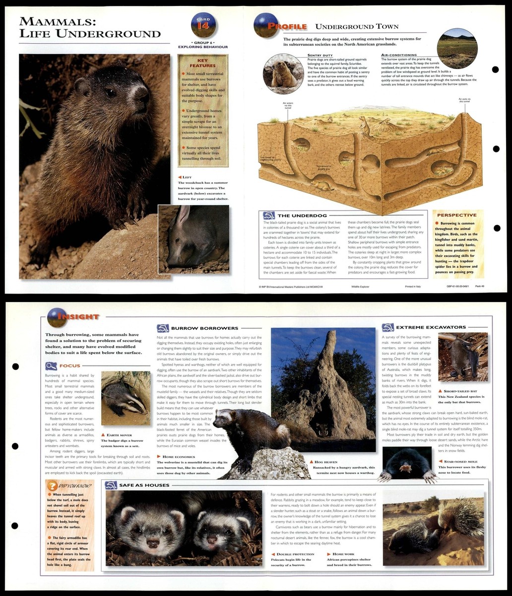 Life Among The Mammals