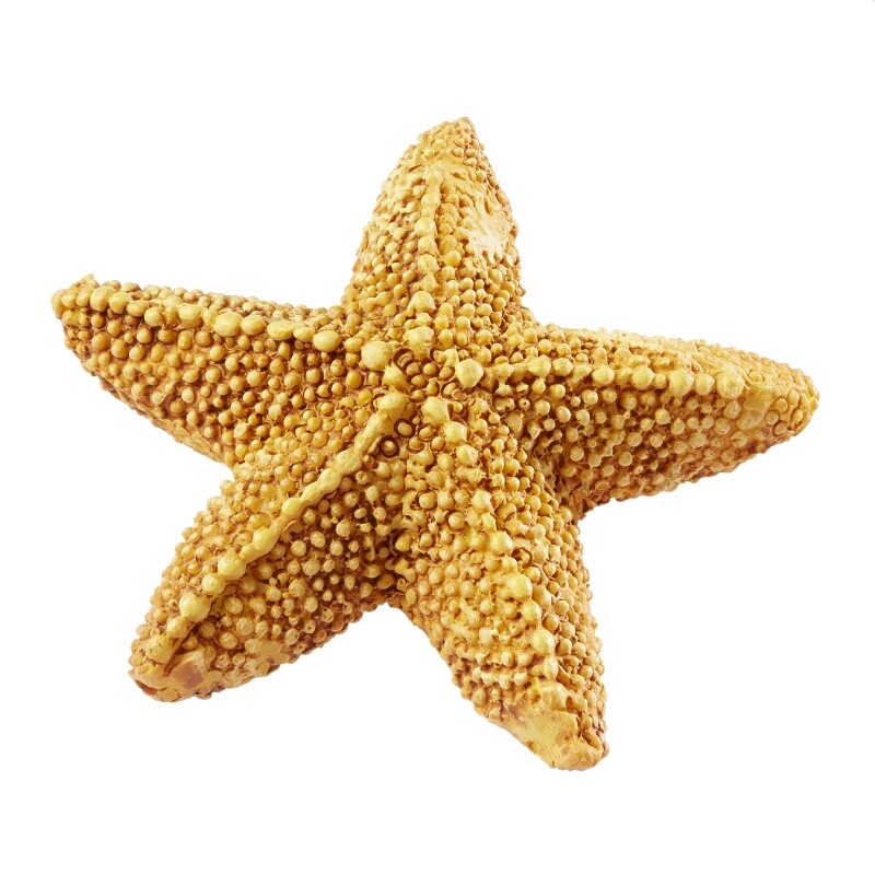 Decorazioni Tema Mare PENDENTE IN VETRO A FORMA DI STELLA MARINA ...