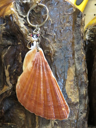 SEASHELL Keyring recycled Sea shell beachcomber beach Cat Ireland 2579 ...