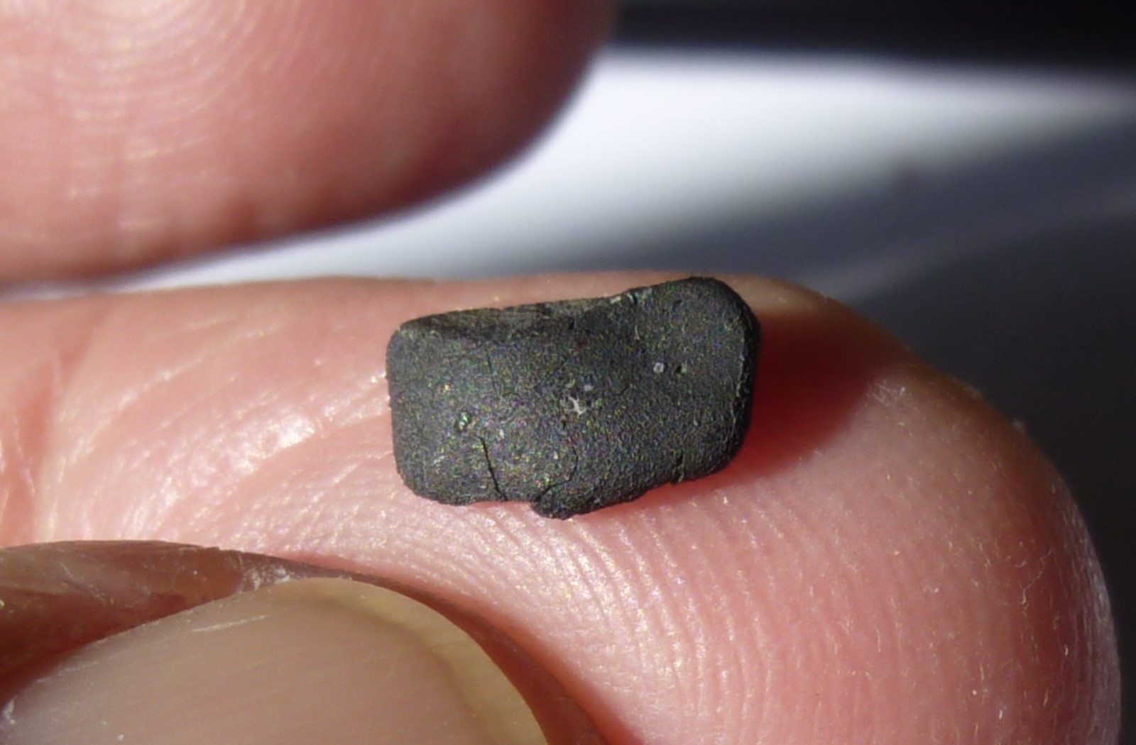 Meteorite Tarda C2-ung, Fall 2020, crusted fragment of oriented | eBay