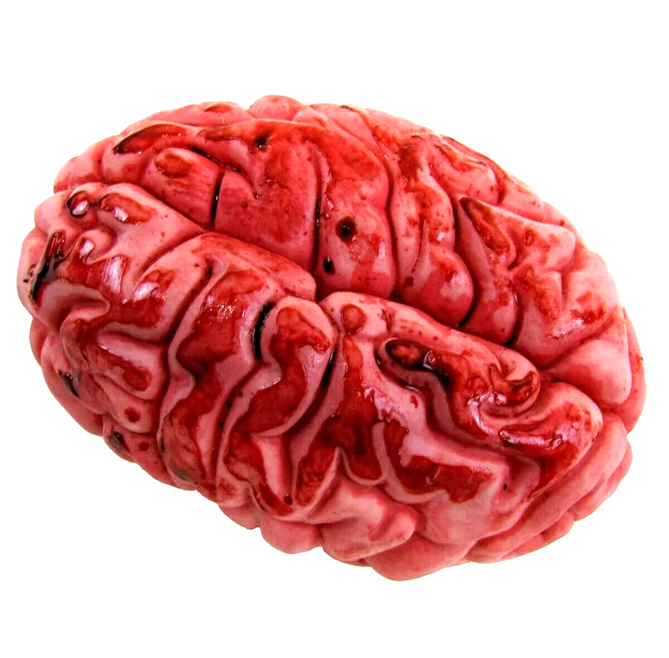 LifeSize Fake Zombie BLOODY BRAIN BUTCHER TRAY Human Organ Halloween ...