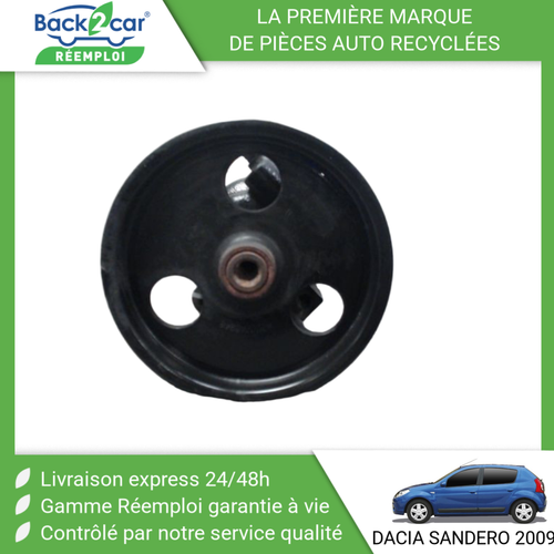 🏆 POMPE DIRECTION ASSISTEE DACIA SANDERO 2008- 491108049R 🌱 ...