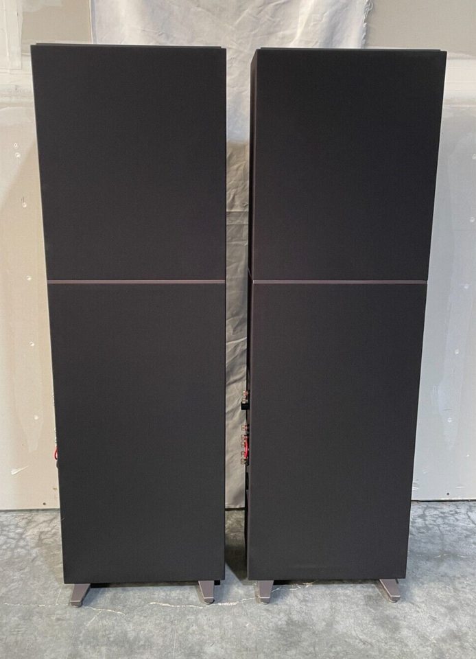 Definitive Technology Dymension DM80 Floor-standing Bipolar Tower ...