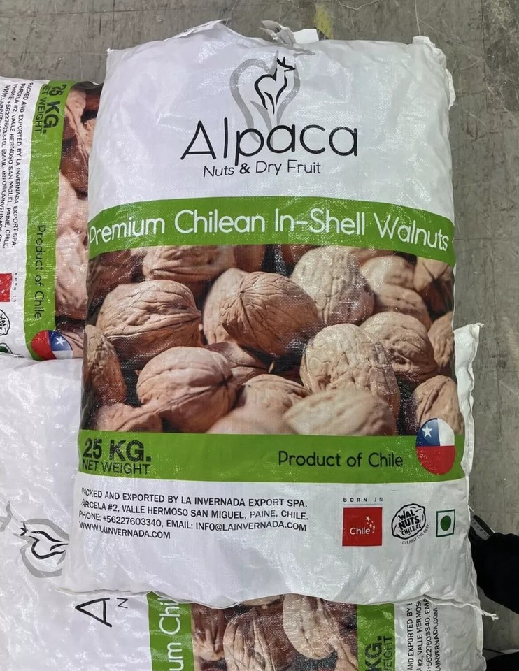 Walnuts in Shell Whole 1kg - 25kg, Chilean, Natural, GMO Free, Good for ...