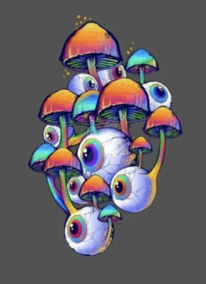 Shrooms Sticker Psychedelic Eyes Colorful Weird Trippy Hippie Unique (3 ...