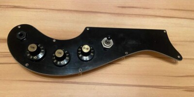Framus Pickguard mit Elektrik - Model B L 10 | eBay.de