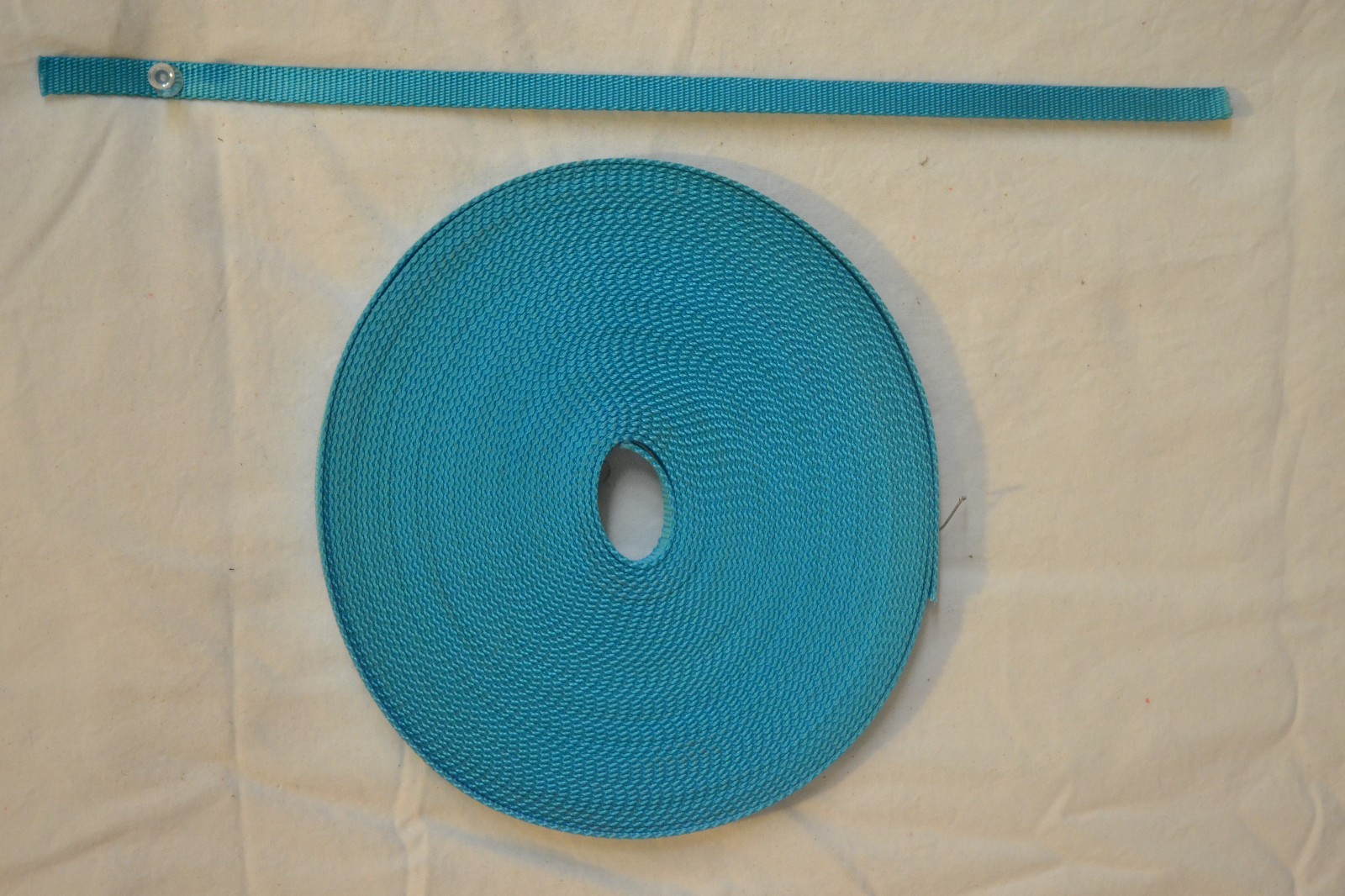 Webbing - 1/2" x 35 ft- Light Weight Nylon - Turquoise (H58) | eBay
