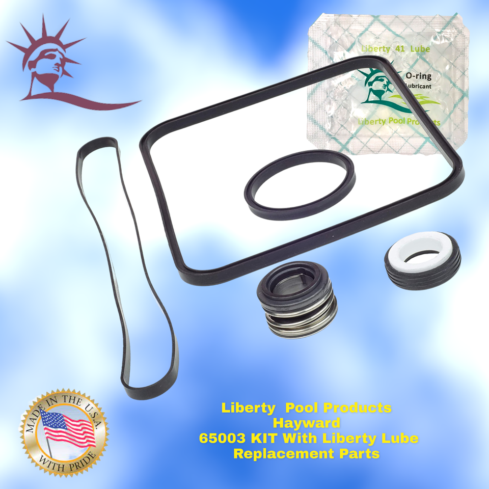 Super Pump SP2600,1600 Pool Pump Gasket Seal O-Ring Kit Compatible For ...