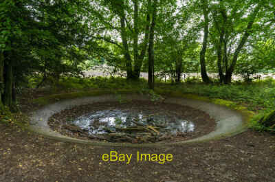 Photo 12x8 Pond Shere Largely dried up pond by Combe Lane. The round ...