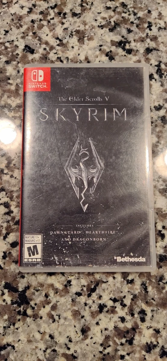 Skyrim Case