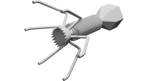 T4 Bacteriophage Model for Biology Teaching 1:1000000 Scale Educational ...