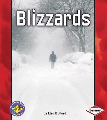 Blizzards by Lisa Bullard (2008, Hardcover) for sale online | eBay
