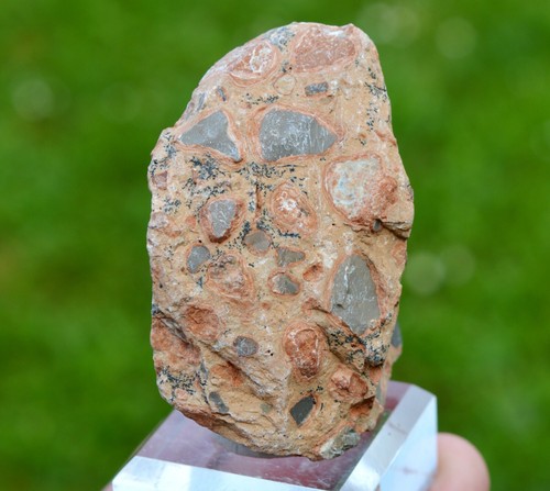 Leopardite 119 Grams - Mexico | eBay