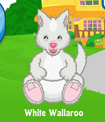 Webkinz White Wallaroo Virtual PET Adoption Code Only Messaged Webkinz Kangaroo! | eBay