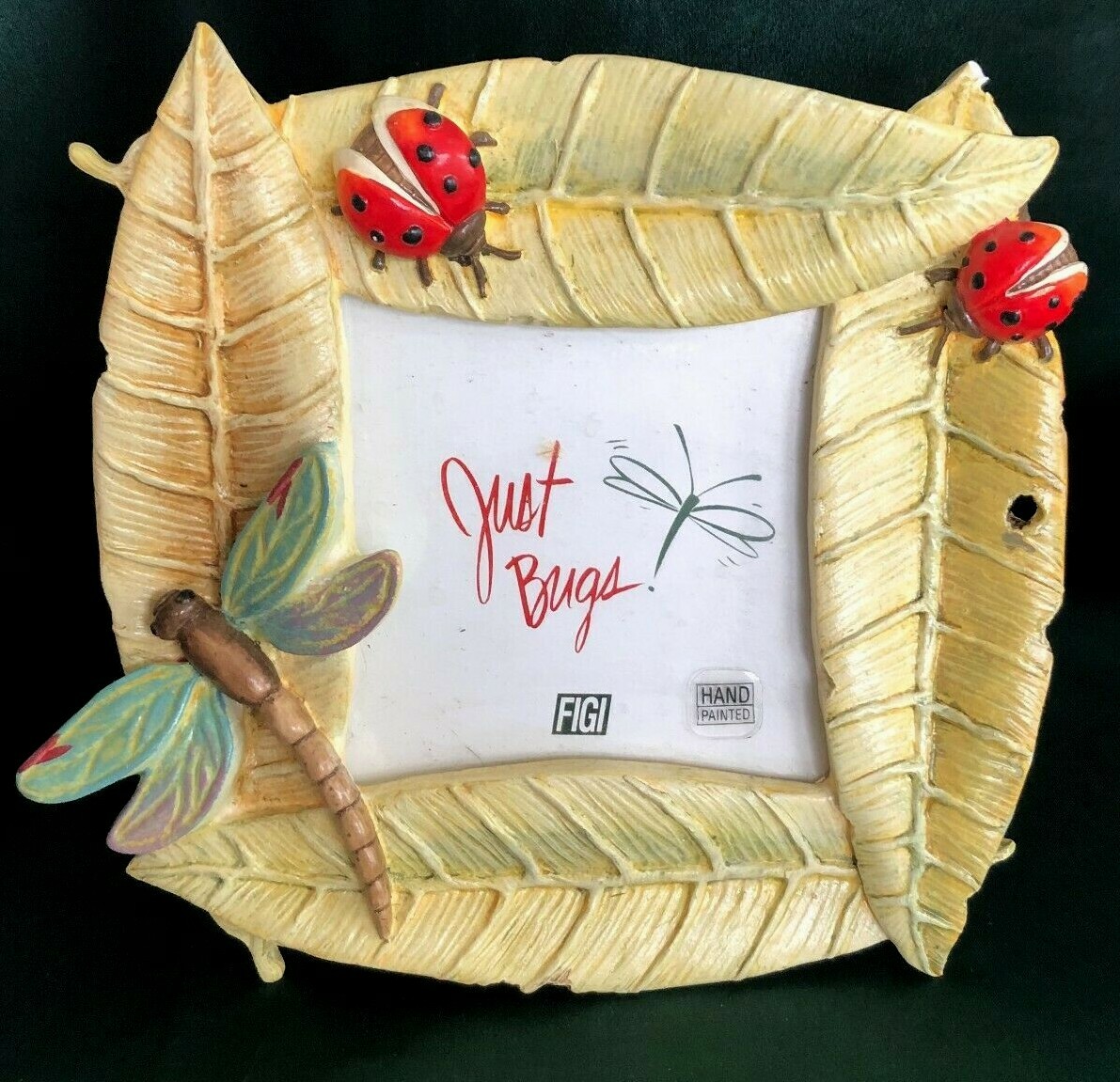 FIGI GRAPHICS - PHOTO FRAME FOR 3.5" X 3.5" PICTURE - JUST BUGS | eBay